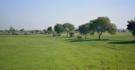 Bulandshahr Photos, Pictures of Famous Tourist Places and Attractions ...