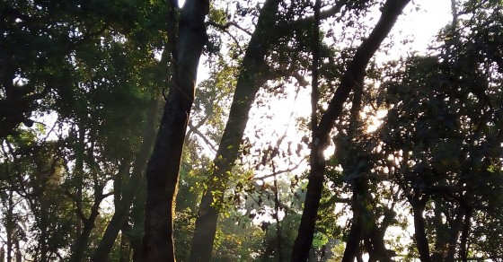 Durshet Photos, Pictures of Famous Tourist Places and Attractions ...