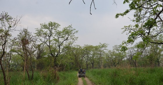 Chambal Sanctuary Photos, Pictures of Famous Tourist Places and ...