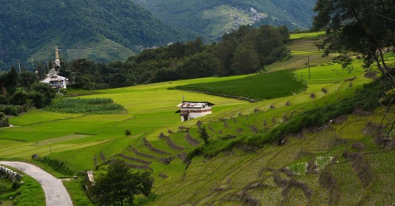 Places to Visit in Ziro: Tourist Places in Ziro, Ziro Tourism, Best ...