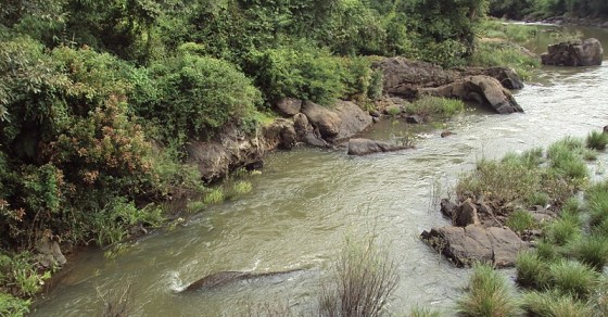 Karnataka Photos, Pictures of Famous Tourist Places and Attractions ...