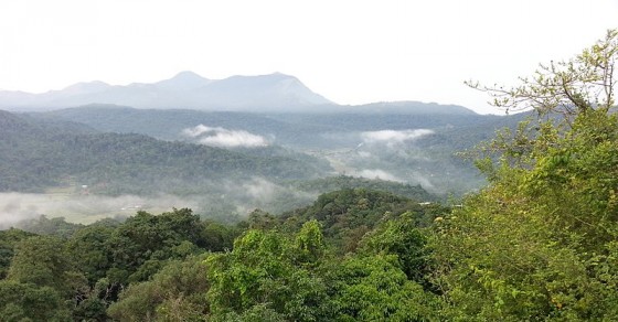 Coorg Photos, Pictures of Famous Tourist Places and Attractions ...