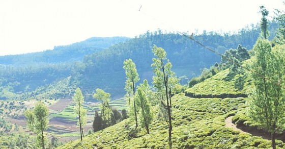 Weather in Coorg| Weather Forecast Coorg | Weather Report AdoorCoorg ...