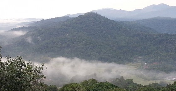 Coorg Photos, Pictures of Famous Tourist Places and Attractions ...