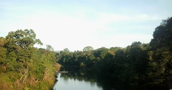 Bhadra River Photos-NativePlanet