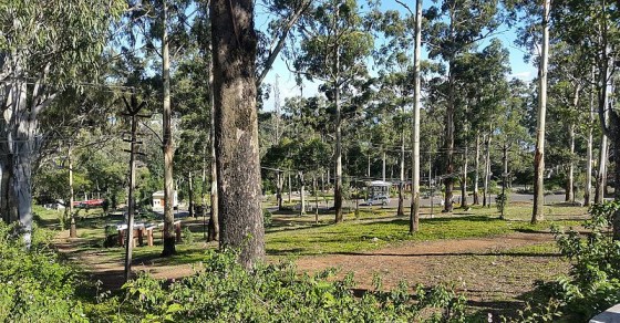 Yercaud Photos, Pictures of Famous Tourist Places and Attractions ...