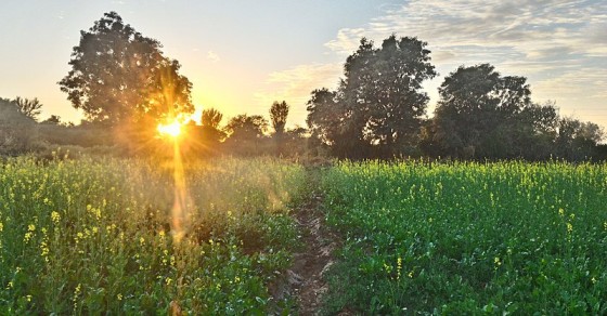 Pali Photos, Pictures of Famous Tourist Places and Attractions-NativePlanet