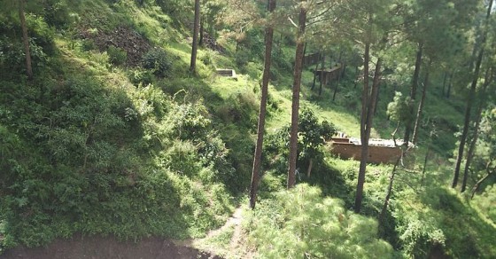Kasauli Photos, Pictures of Famous Tourist Places and Attractions ...