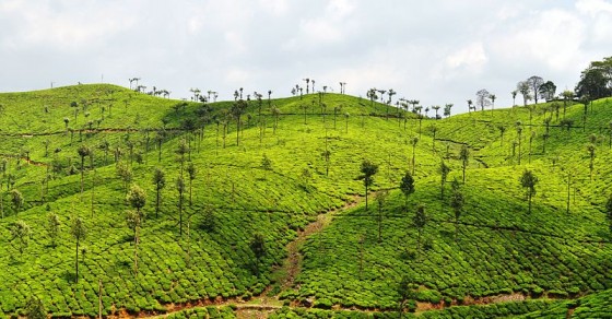 Valparai Photos, Pictures of Famous Tourist Places and Attractions ...