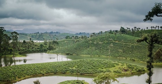 Places to Visit in Valparai: Tourist Places in Valparai, Valparai ...