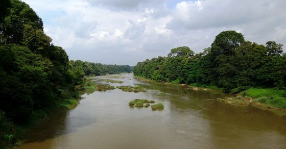 Nilambur Photos, Pictures of Famous Tourist Places and Attractions ...