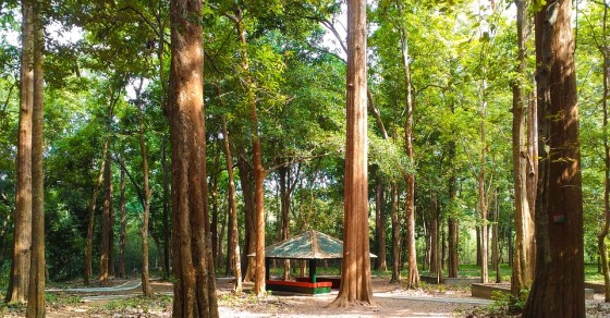 Nilambur Photos, Pictures of Famous Tourist Places and Attractions ...