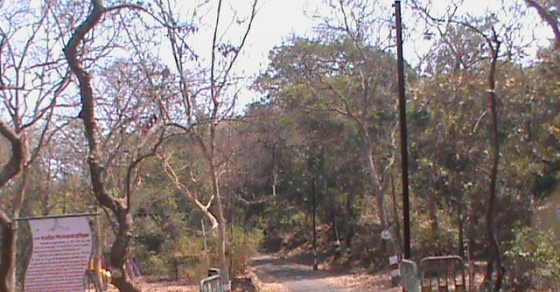 Karnala Photos, Pictures of Famous Tourist Places and Attractions ...