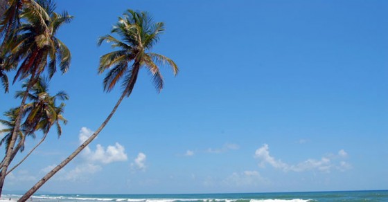 Places to Visit in Colva: Tourist Places in Colva, Colva Tourism, Best ...