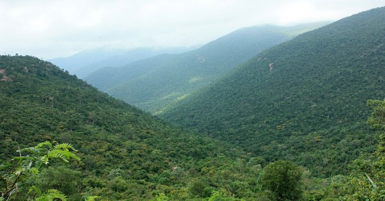 MM Hills Photos, Pictures of Famous Tourist Places and Attractions ...