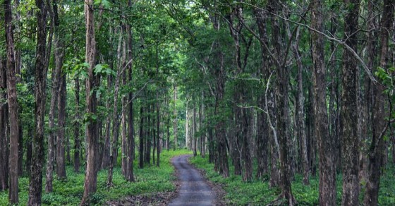 Mongpong Photos, Pictures of Famous Tourist Places and Attractions ...