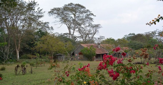 Mudumalai Photos, Pictures of Famous Tourist Places and Attractions ...