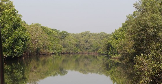 Porvorim Photos, Pictures of Famous Tourist Places and Attractions ...