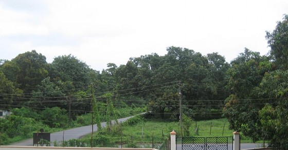 Udvada Photos, Pictures of Famous Tourist Places and Attractions ...