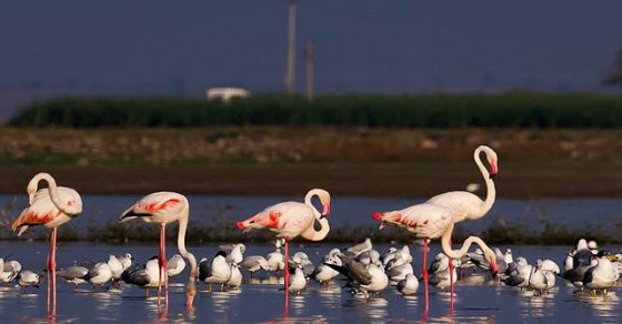 Baramati Photos, Pictures of Famous Tourist Places and Attractions ...