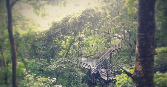 Punalur Photos, Pictures of Famous Tourist Places and Attractions ...