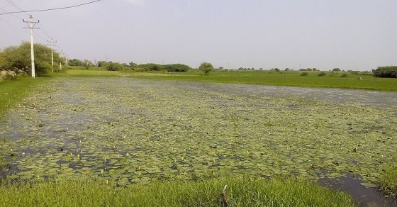 Pinangwan Photos, Pictures of Famous Tourist Places and Attractions ...