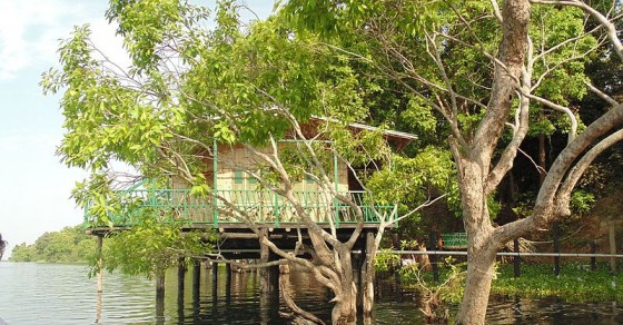 Pilibhit Photos, Pictures of Famous Tourist Places and Attractions ...