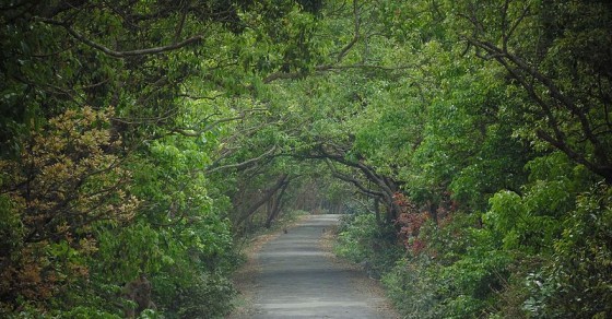 Pilibhit Photos, Pictures of Famous Tourist Places and Attractions ...