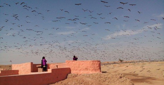 Places to Visit in Kheechan: Tourist Places in Kheechan, Kheechan ...