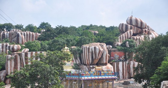 Pocharam Sanctuary Photos-NativePlanet