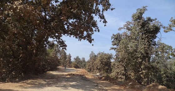 Simdega Photos, Pictures of Famous Tourist Places and Attractions ...