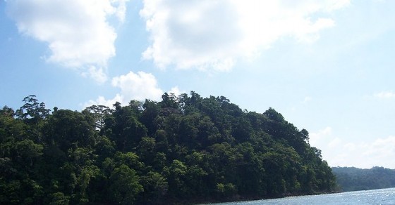 Havelock Island Photos, Pictures of Famous Tourist Places and ...