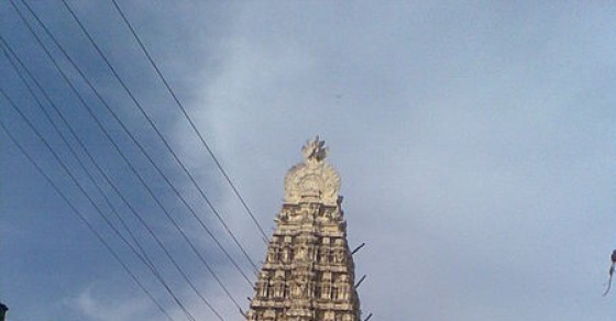 Nellore Photos, Pictures of Famous Tourist Places and Attractions ...