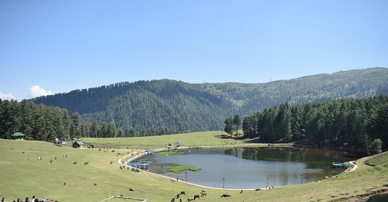 Weather in Patnitop| Weather Forecast Patnitop | Weather Report ...