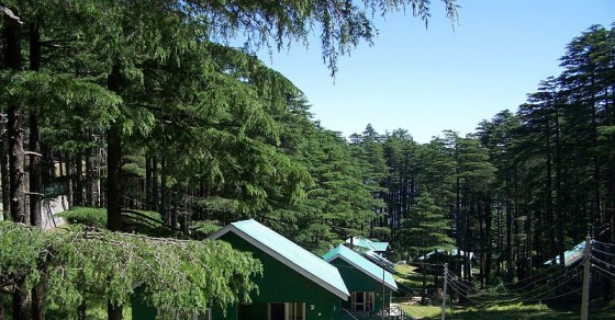 Patnitop Photos, Pictures of Famous Tourist Places and Attractions ...