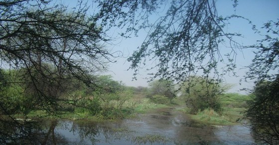 Chambal Sanctuary Photos, Pictures of Famous Tourist Places and ...