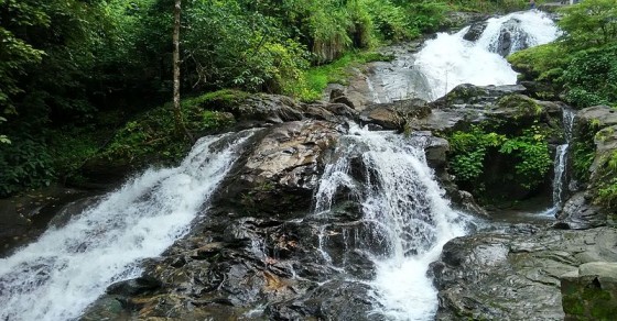 Coorg Photos, Pictures of Famous Tourist Places and Attractions ...