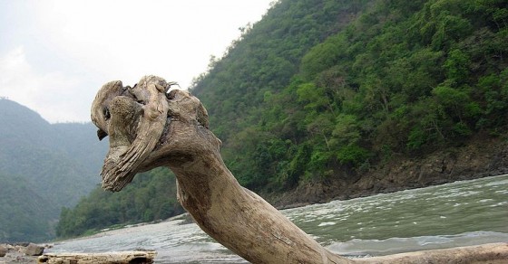 Shivpuri Photos-NativePlanet