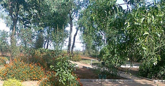 Toranmal Photos, Pictures of Famous Tourist Places and Attractions ...