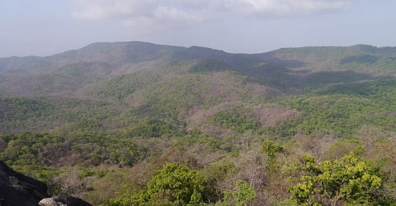 Thane Photos, Pictures of Famous Tourist Places and Attractions ...