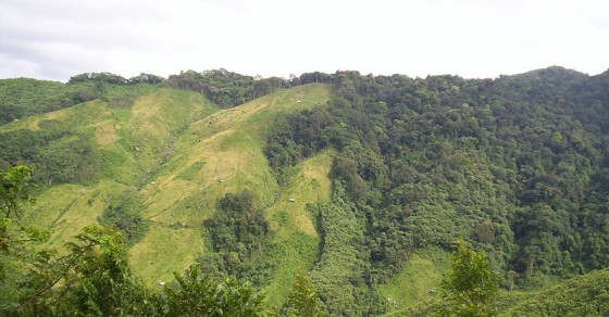 Places to Visit in Tuensang: Tourist Places in Tuensang, Tuensang ...