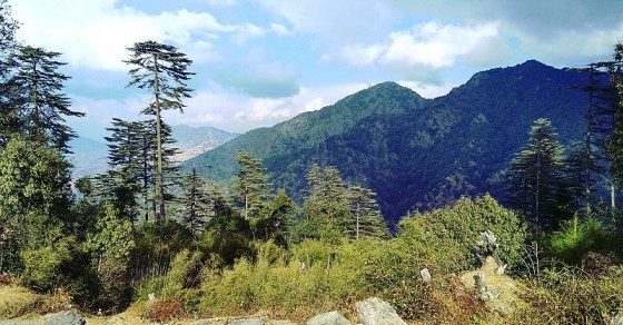Dhanaulti Photos, Pictures of Famous Tourist Places and Attractions ...