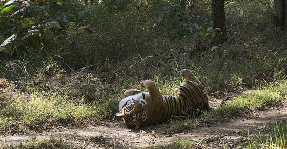 List of Tourist Attractions | Tourist Places To Visit in Itarsi ...