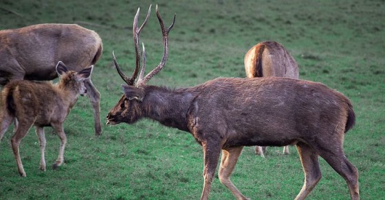 Itarsi Photos, Pictures of Famous Tourist Places and Attractions ...