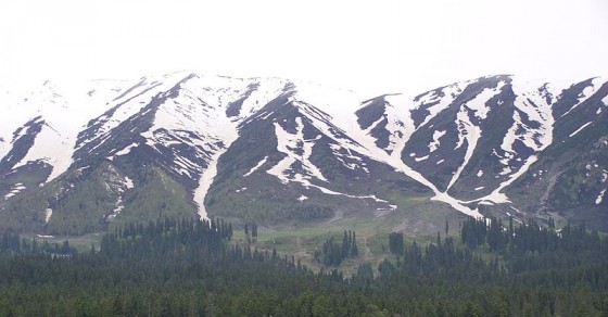 Gulmarg Photos, Pictures of Famous Tourist Places and Attractions ...