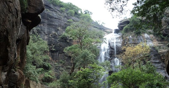 Kolli Hills Photos, Pictures of Famous Tourist Places and Attractions ...