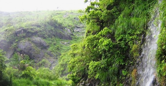 Vagamon Photos, Pictures of Famous Tourist Places and Attractions ...