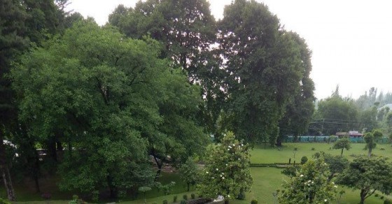 Harwan Gardens Photos-NativePlanet