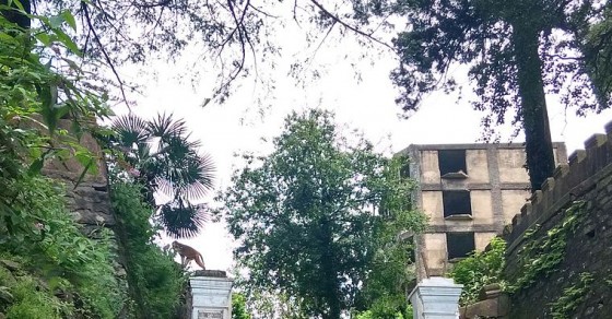 Rothney Castle Photos-NativePlanet