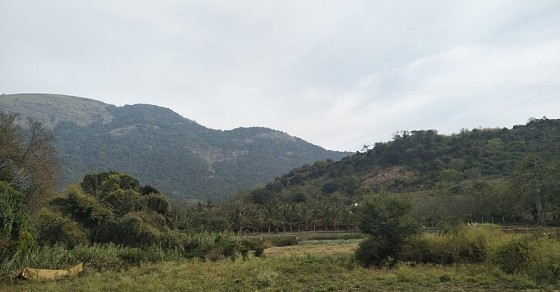 Dindigul Photos, Pictures of Famous Tourist Places and Attractions ...